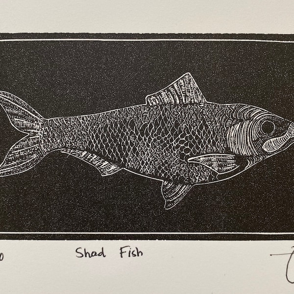 Shad Print - Etsy