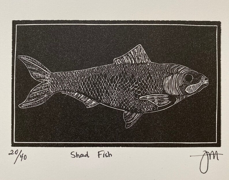 Handmade - Shad Fish - Wood Engraving Artwork - Etsy