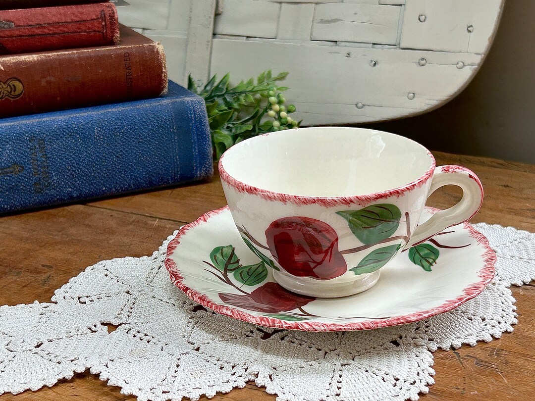Vintage Cup and Saucer Set | Blue Ridge China by Southern Potteries in ...
