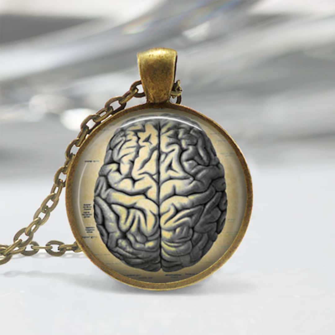 Brain Necklace Human Anatomy Jewelry Science Medical Steampunk Art ...