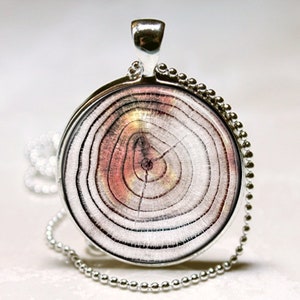 Tree Ring Necklace Brown Tree Jewelry Nature Art Pendant in Bronze or ...