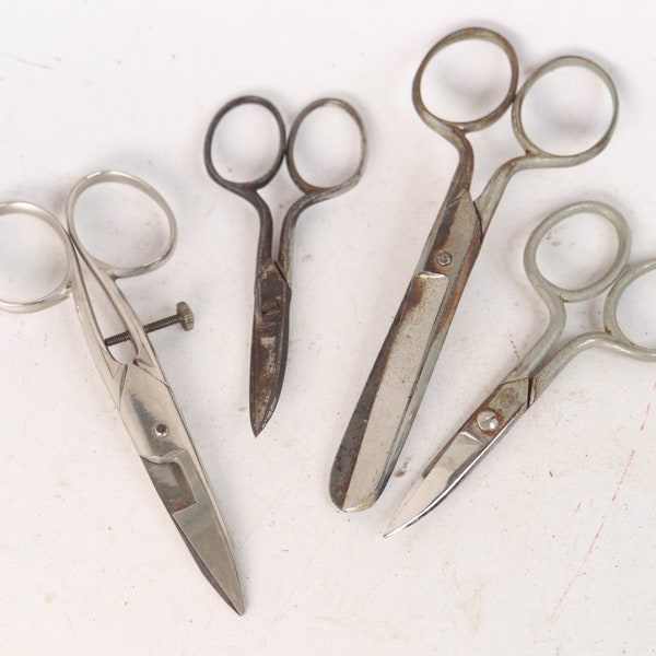 Griffon Scissors - Etsy