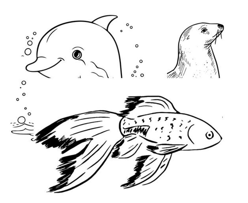 Underwater World Coloring Pages – 35 Printables With Sea and Water ...