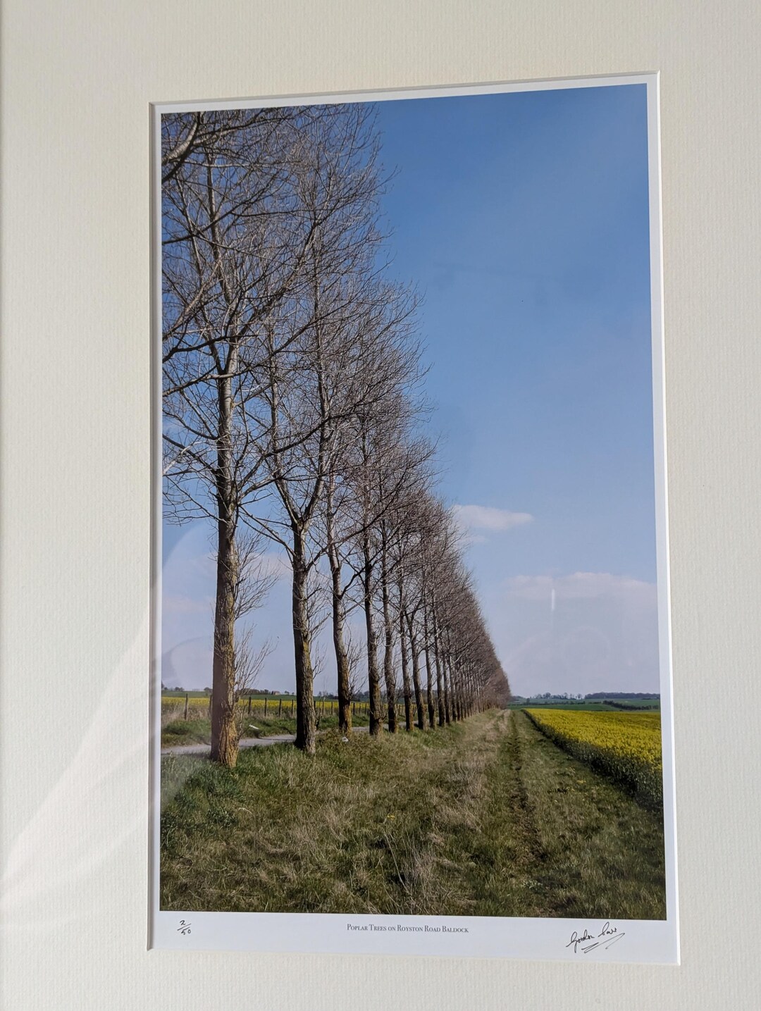 Signed Limited Edition Photograph Poplar Trees Royston Road Baldock by ...