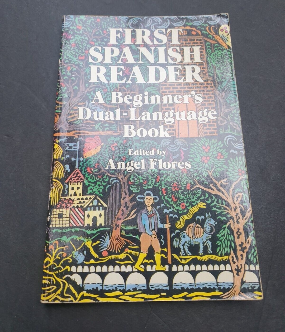 First Spanish English Reader A Beginner's Dual Language Book Angel ...