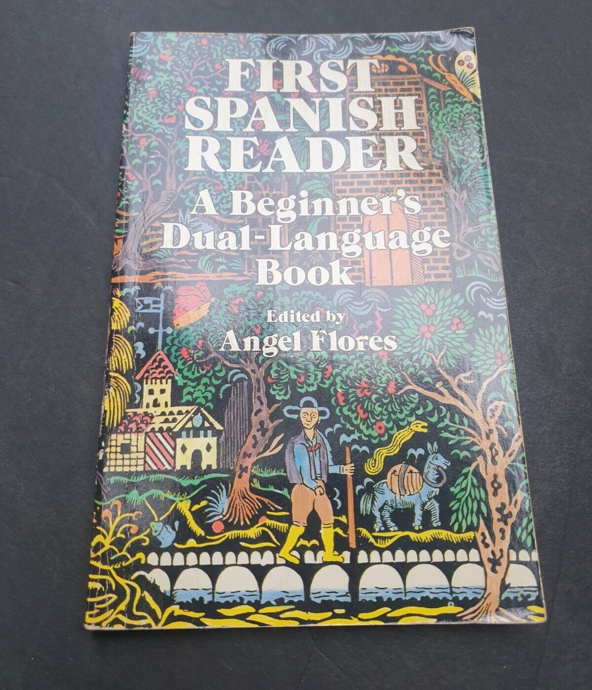 First Spanish English Reader A Beginner's Dual Language Book Angel ...