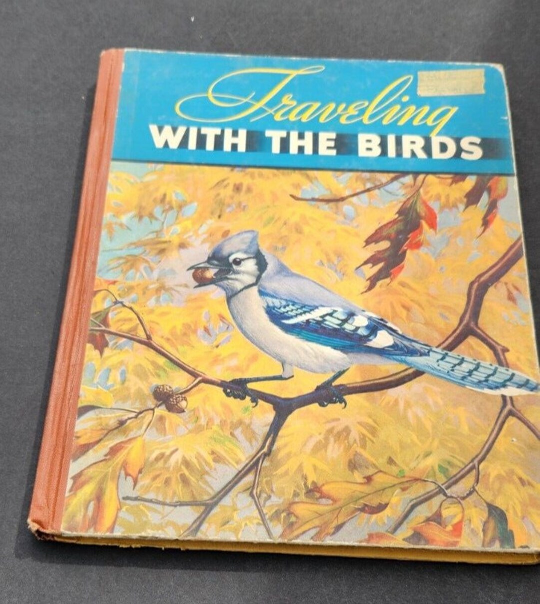 Traveling With the BIRDS 1933 Illustrated by Walter Alois Weber Bird ...