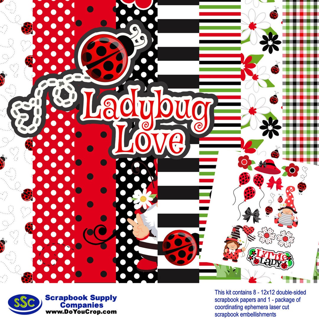 Ladybug Love 12 X 12 Scrapbook Paper & Embellishment Kit by SSC Designs ...