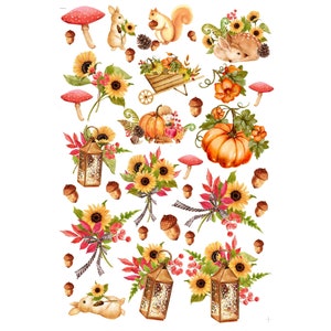 Favorite Fall Collection 12 X 12 Scrapbook Paper & Embellishment Kit by ...