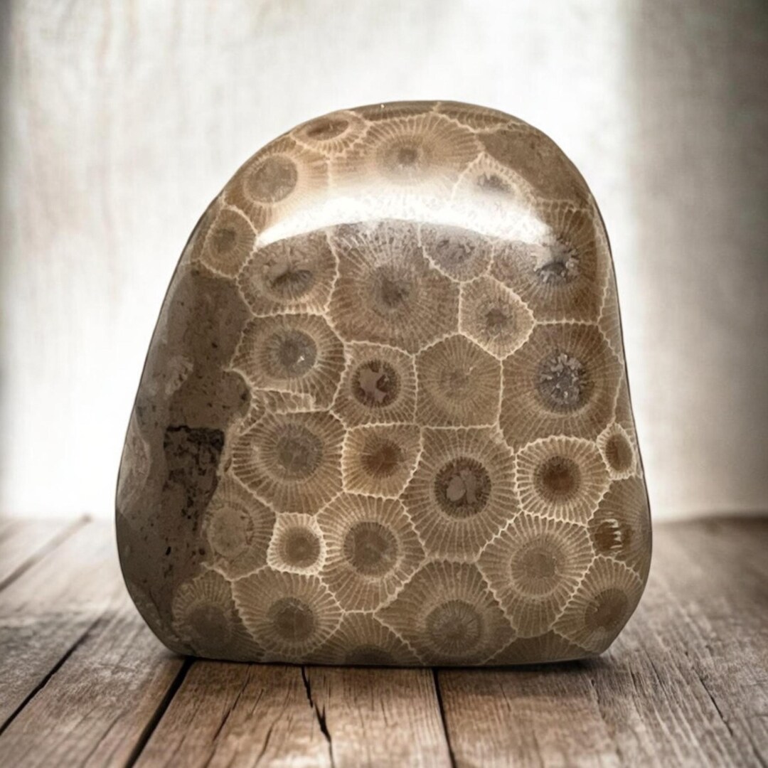 Grade A Polished Petoskey Stone - 3.3 Oz - Polished Petoskey Stone ...