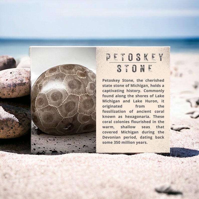 Ancient Reflections: Petoskey Stone Copper Plated Pendant | Chain ...