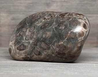 Grade A Polished Petoskey Stone - 3.5 Oz - Polished Petoskey Stone ...