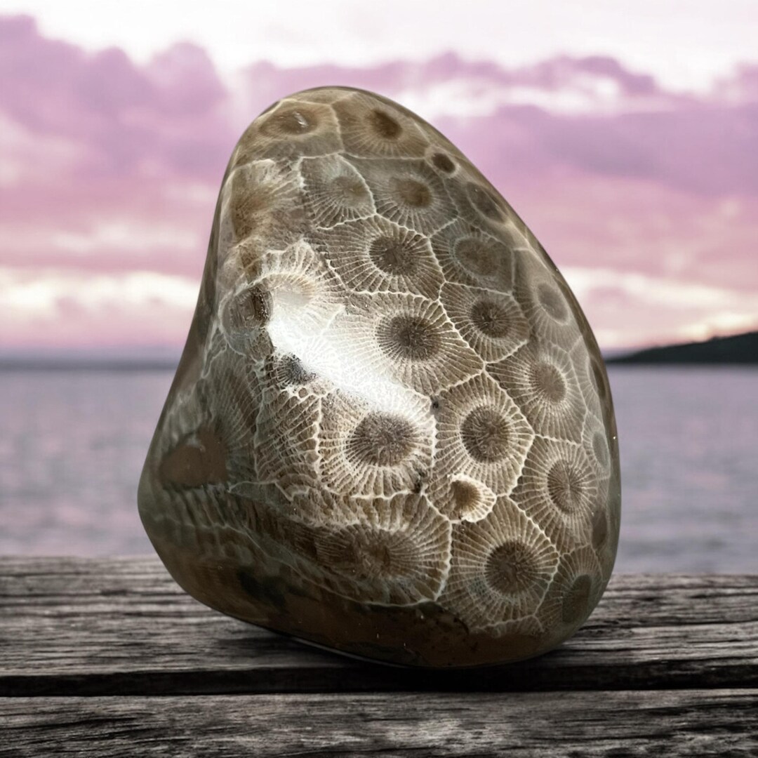 Grade A Polished Petoskey Stone - 4.0 Ounces - Polished Petoskey Stone ...