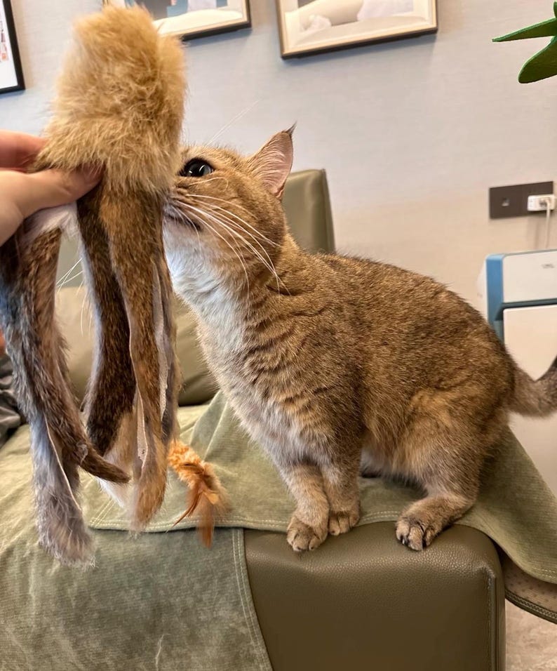 Naturally Scented Rabbit Fur Octopus Toy, Real Fur Enrichment Cat Toy ...