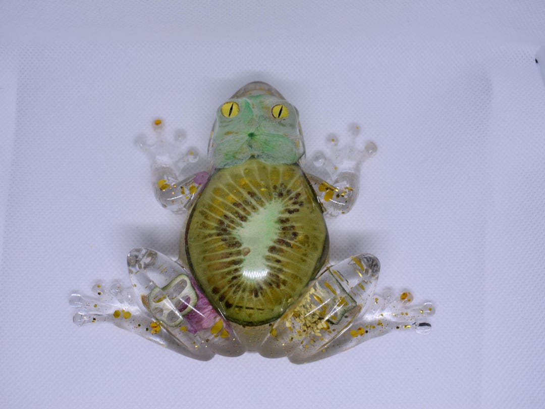 Clear Resin Flower and Dried Kiwi Frog - Etsy
