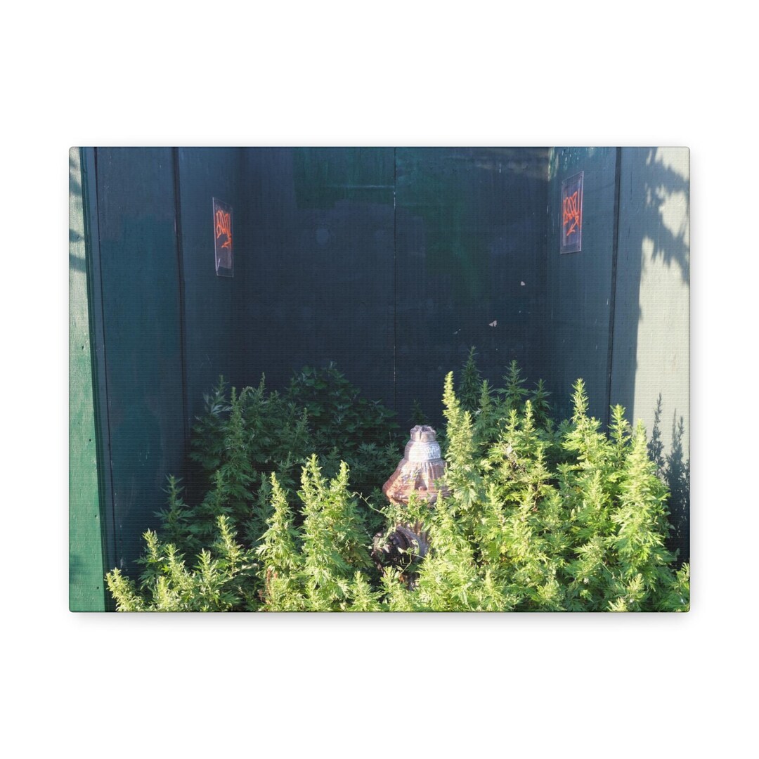 NYC Fire Hydrant Canvas Print: Urban Street Photography - Etsy