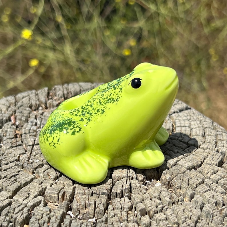 Ceramic Frog Pipe - Handmade Smoking Accessories - Etsy