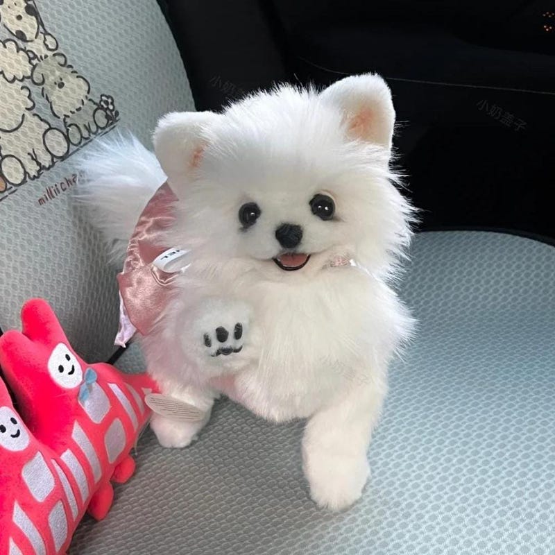 Essa dog - Etsy Polska