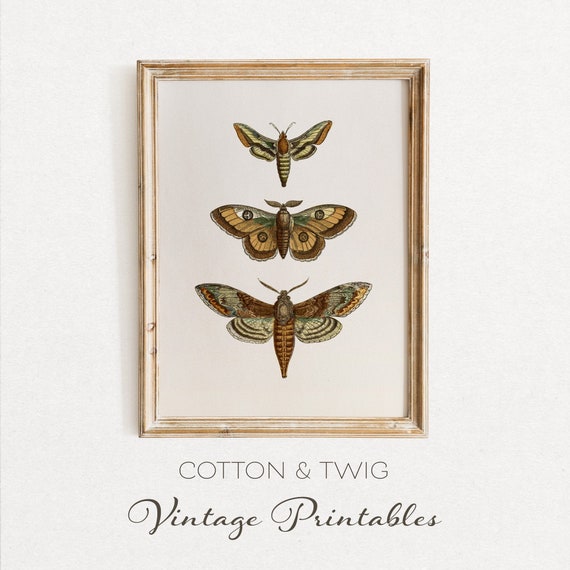 Printable Vintage Gold Moths, Wall Art, Instant Download, Digital Print ...