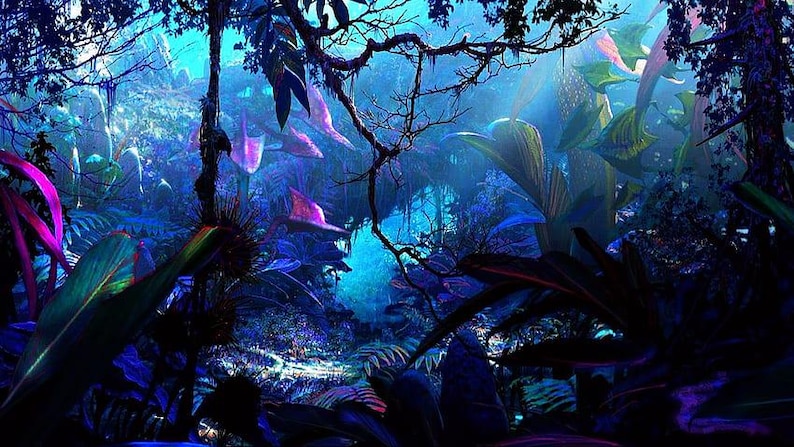 Édition limitée Avatar Fire and Ash, Avatar Pandora, art mural paysage ...