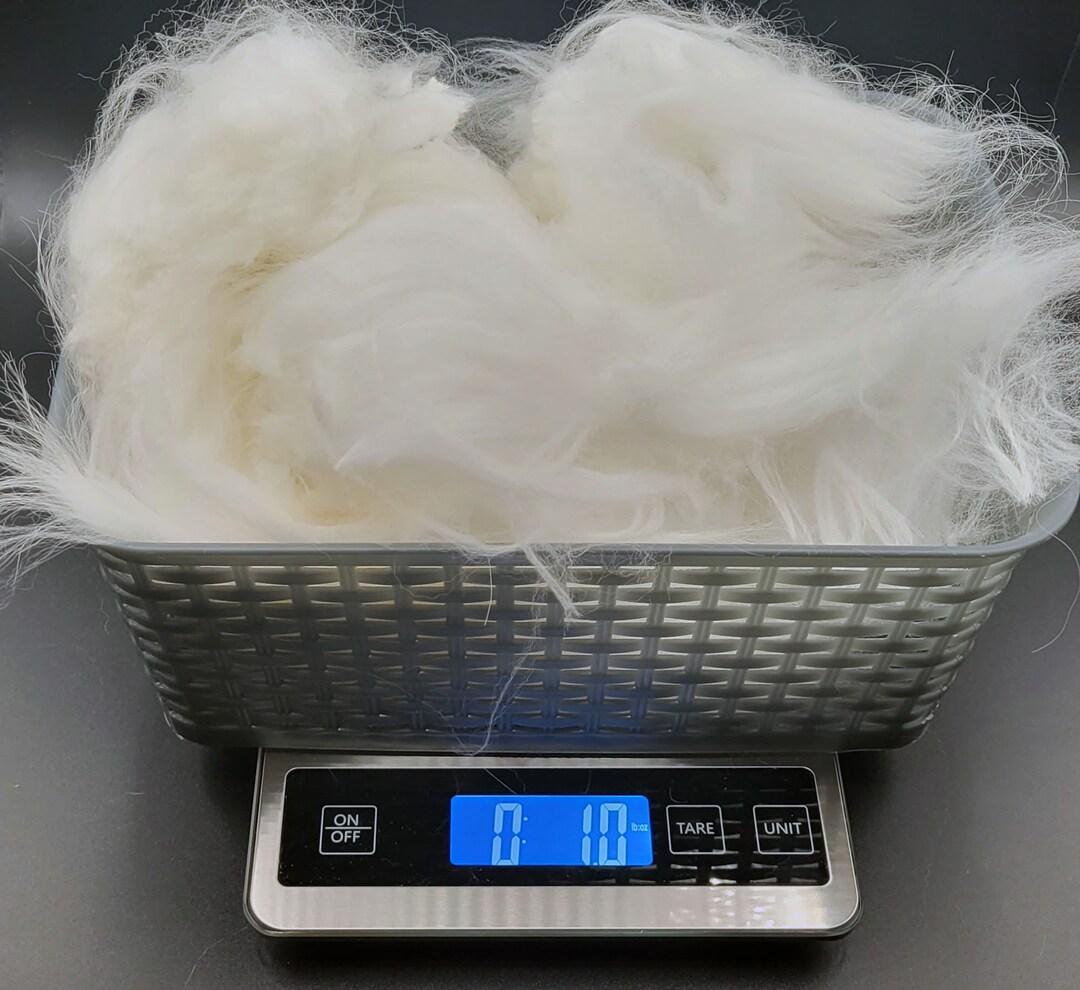 White German Angora Rabbit Fiber From My REW Does, Lily and Rosie - Etsy