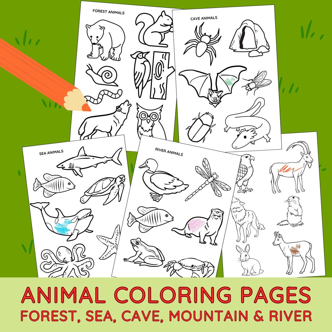 PDF Digital Download Animal Habitats Coloring Pages Bundle Kids ...