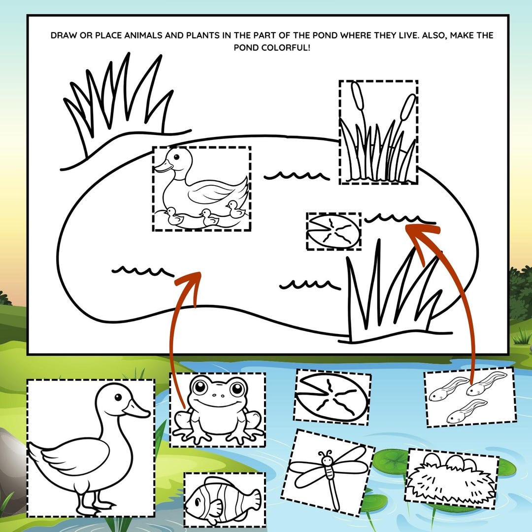 PDF Kids Pond Habitat Play Set A4 Digital Download - Etsy
