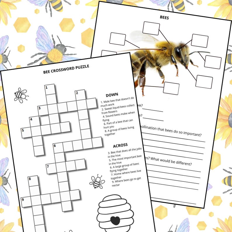 PDF Kids Bee Anatomy Play Set A4 Digital Download - Etsy