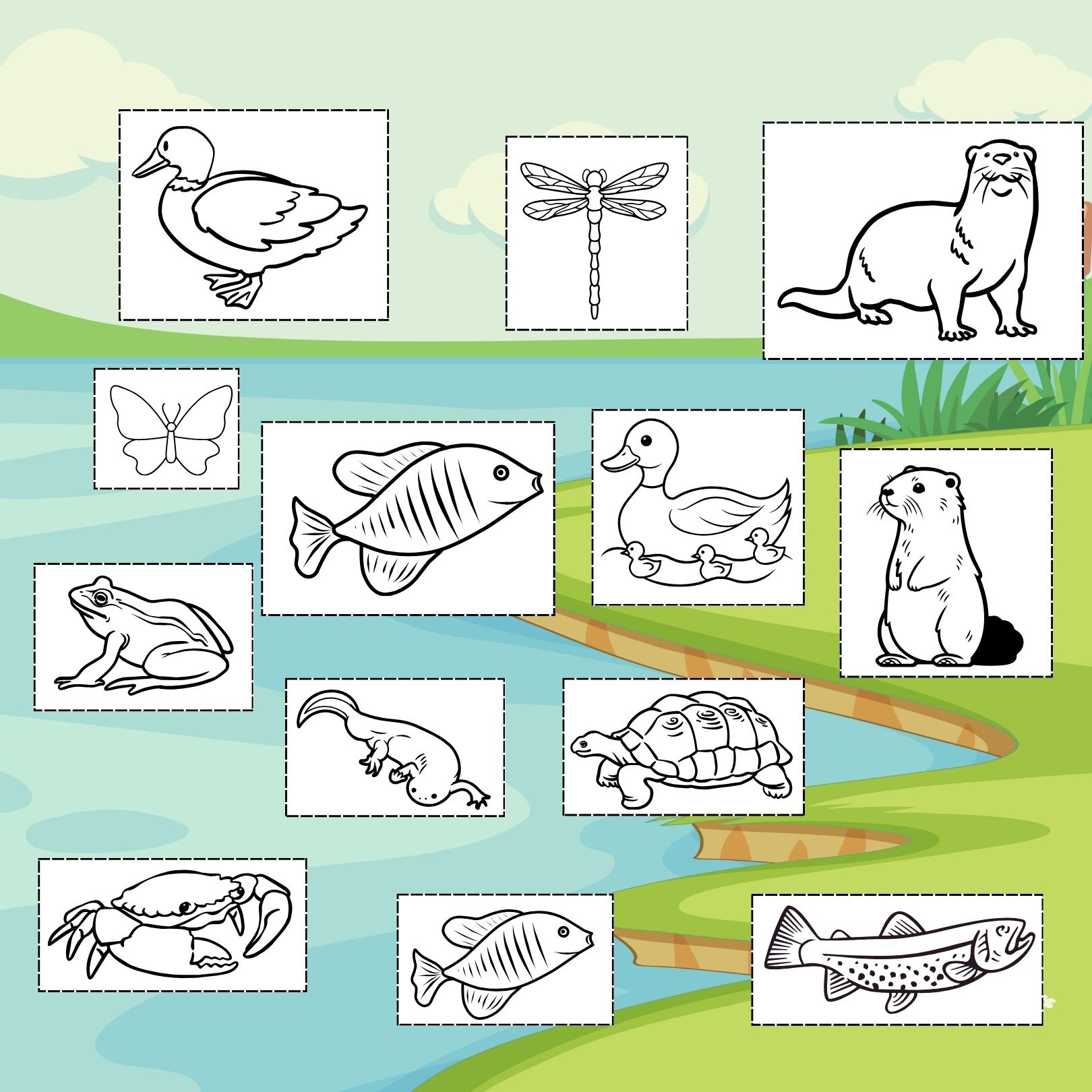 Animal Habitats Sorting Activity Printable – Kids Science Cut and Paste ...