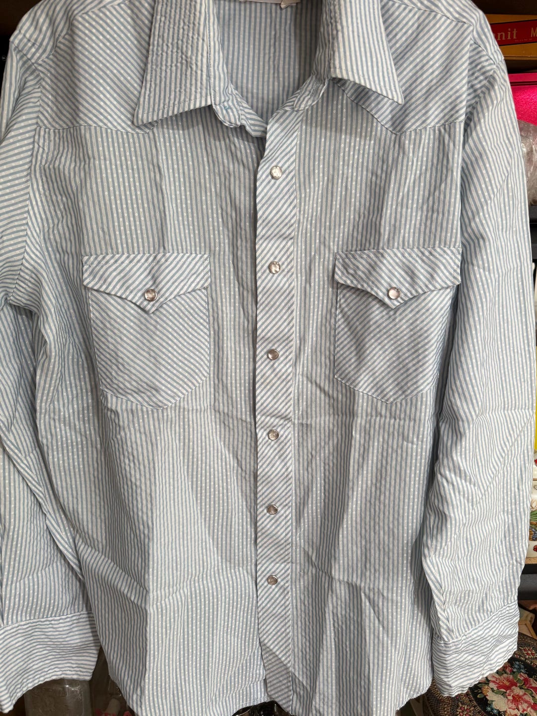 Vintage Men's WRANGLER Long Tails Powder Blue Striped Western Cowboy ...