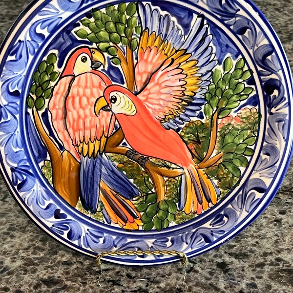 Parrot Plate Pottery - Etsy