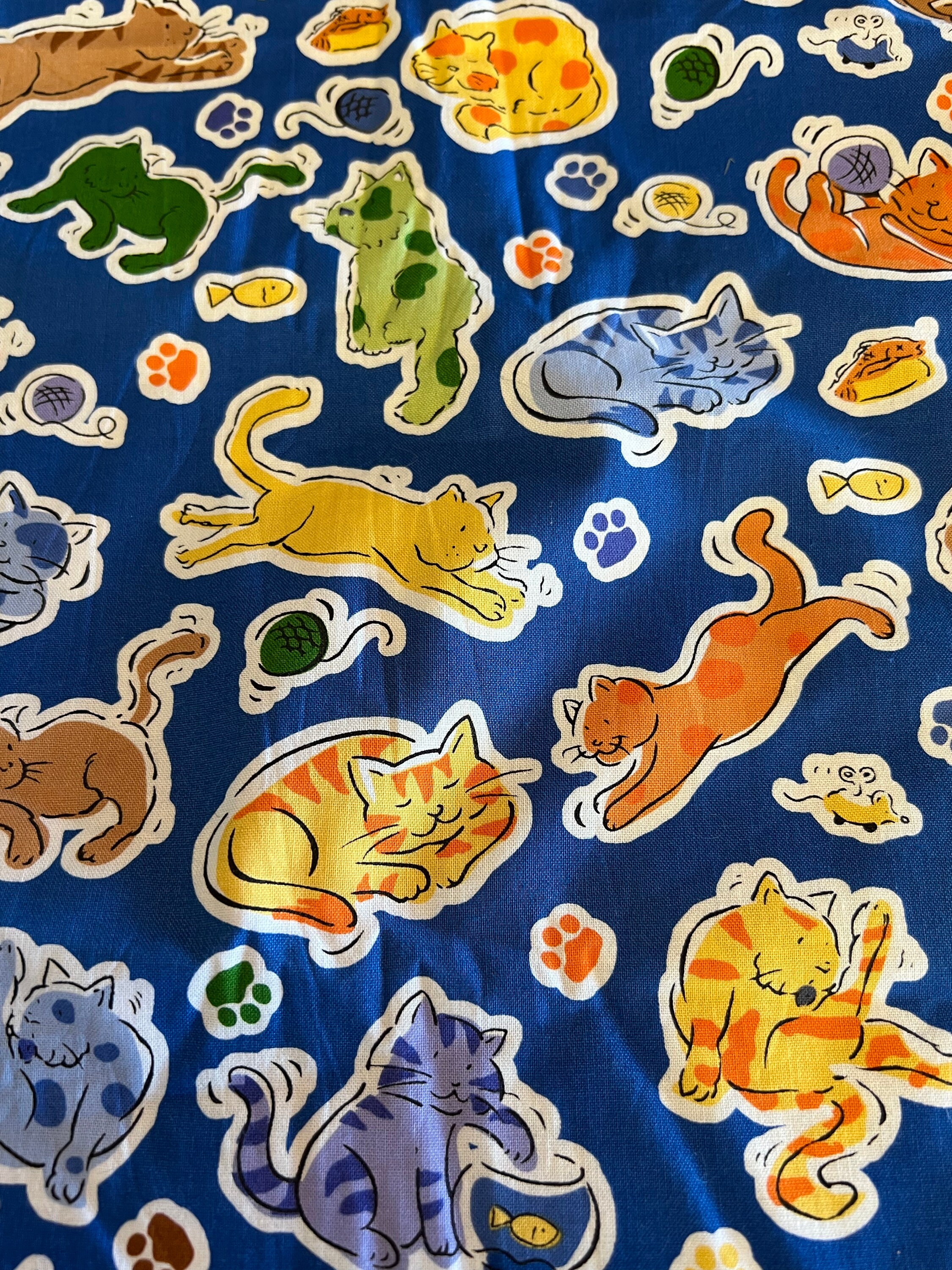Applejack Cat