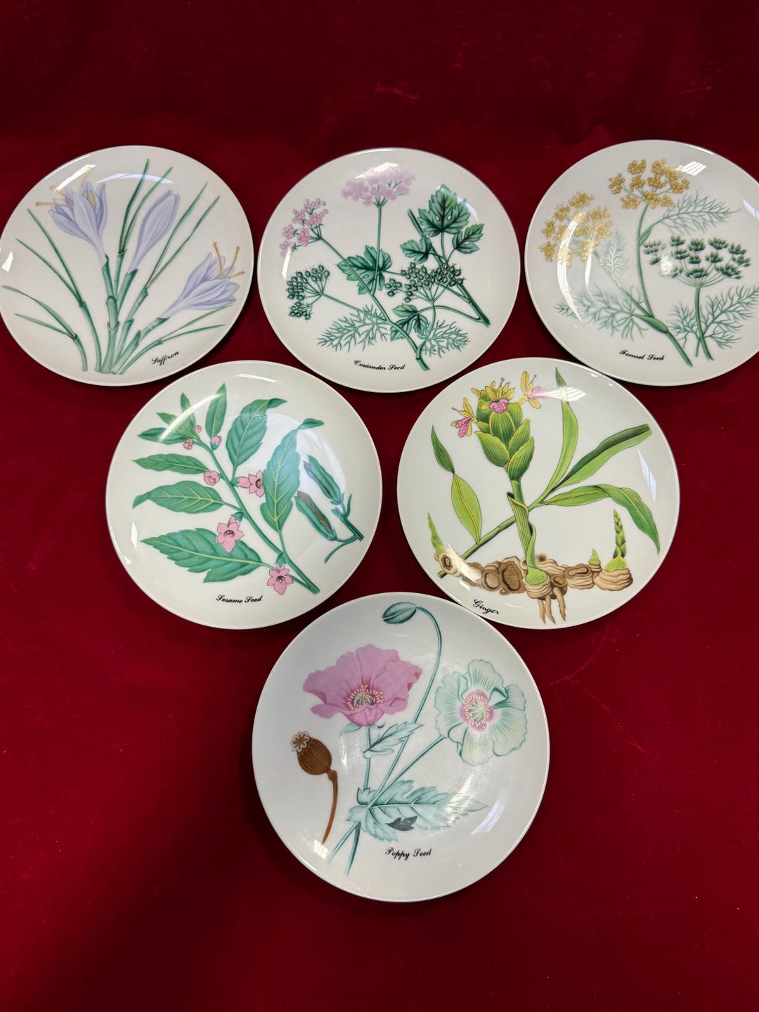 Set of 6 Horchow Collection BOTANICAL HERB Salad Dessert Appetizer ...