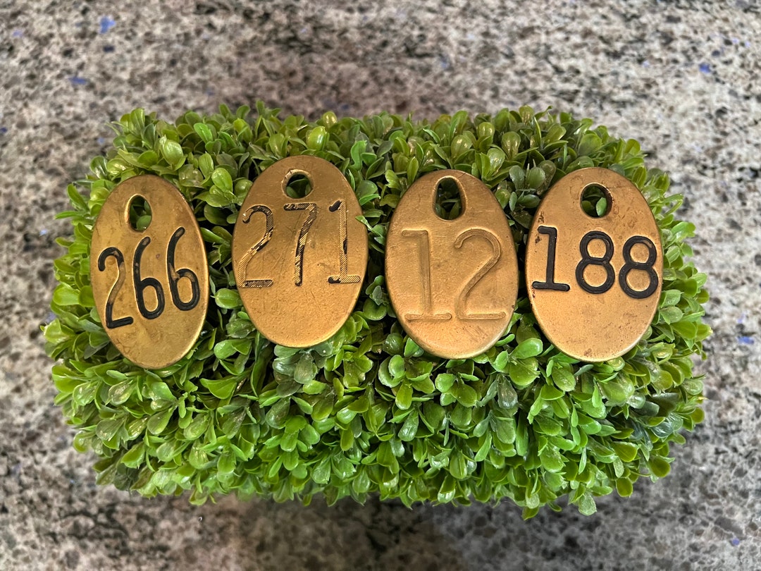 Vintage Set of 4 Solid Brass Oval Cattle ID Tags With Black Numbers ...