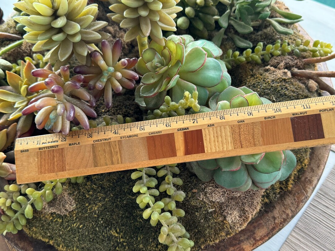 1930s Native Woods of America Wood Ruler Souvenir From Lookout Mountain ...