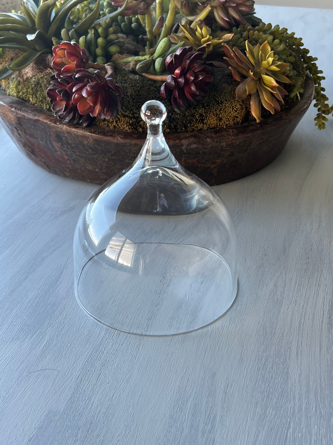 Bell Shaped Glass Dome Cloche 9” High-glass Dome, Display Dome, Glass ...
