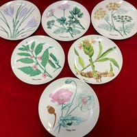 BOTANICAL PLATES - Etsy