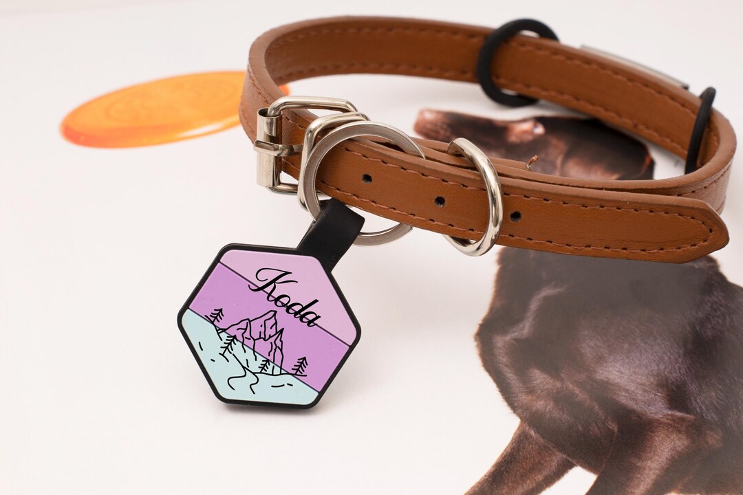 Silent Personalized Soundless Hexagon Designer Pet ID Tag-deep Engraved ...