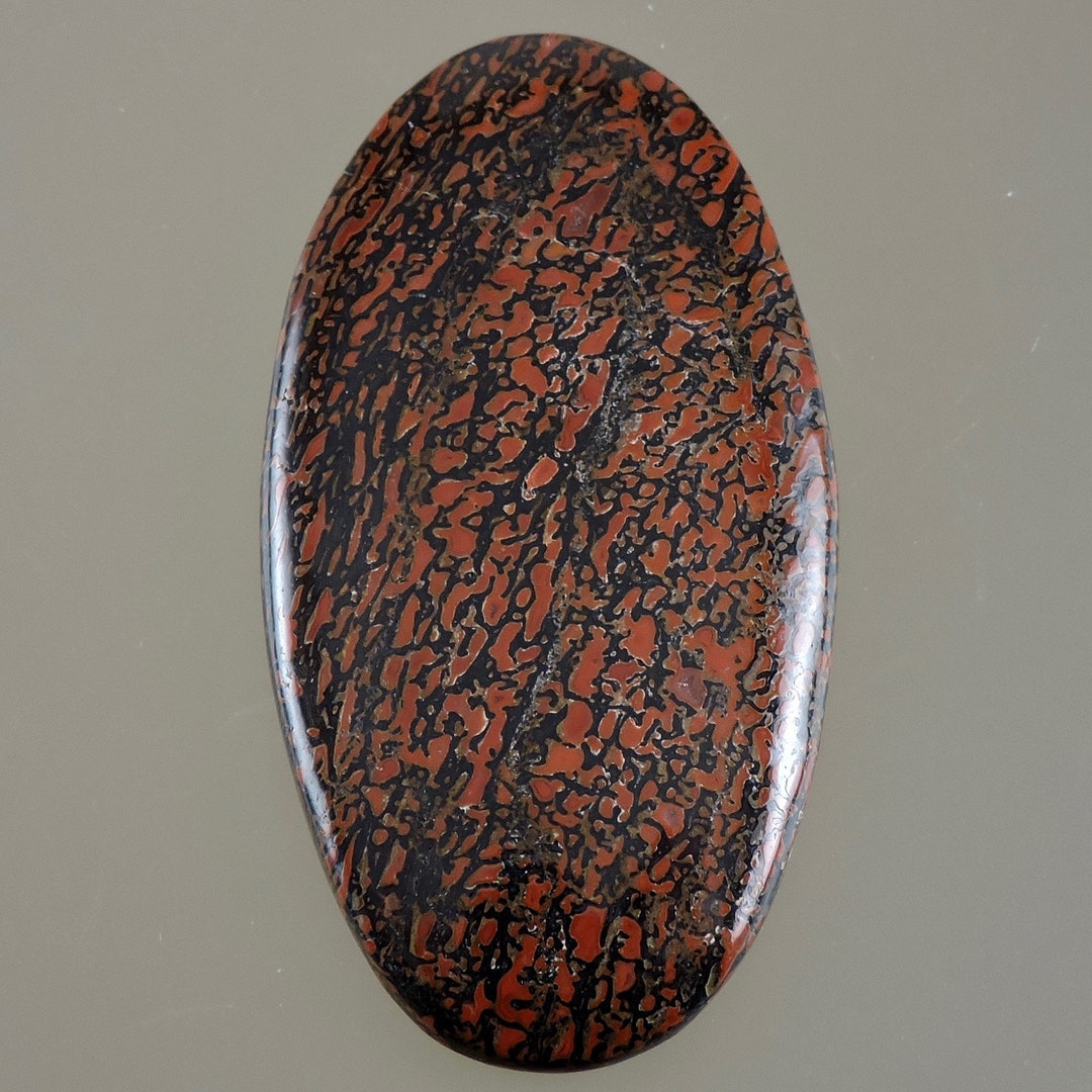 Dinosaur Bone Cabochon, Fossil Dinosaur Bone Cab, Dino Cab, Fossil Bone ...