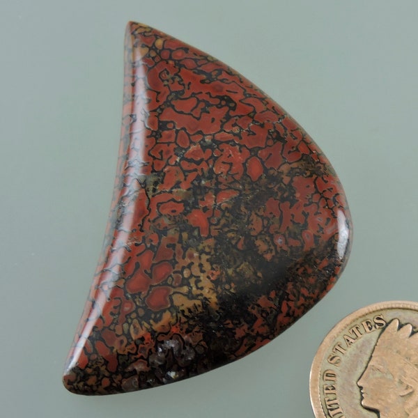 Dinosaur Bone Cab - Etsy