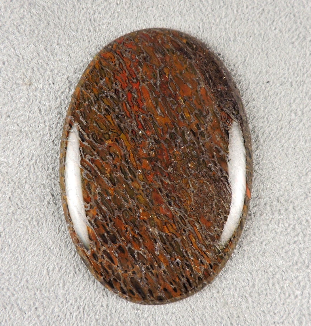 Dinosaur Bone Cabochon, Fossil Dinosaur Bone Cab, Reddish Brown Dino ...