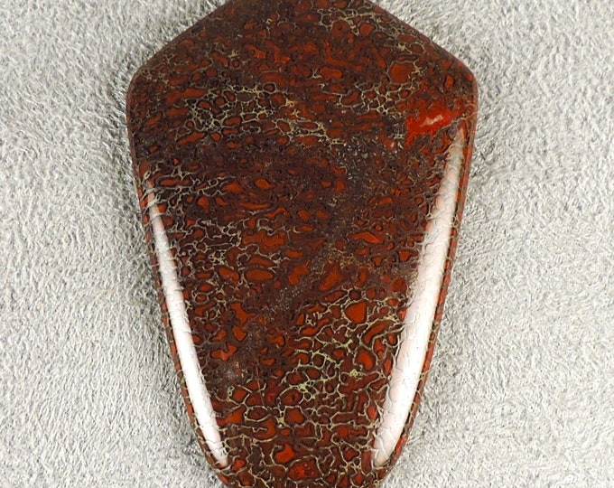 Dinosaur Bone Cabochon, Fossil Dinosaur Bone Cab, Dino Cab, Fossil Bone ...