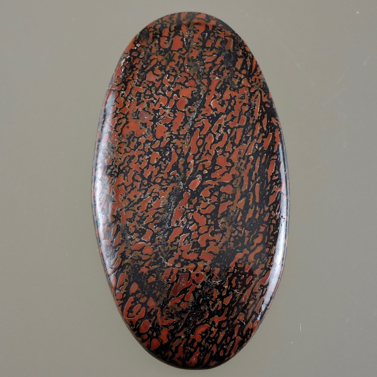 Dinosaur Bone Cabochon Fossil Dinosaur Bone Cab Dino Cab - Etsy