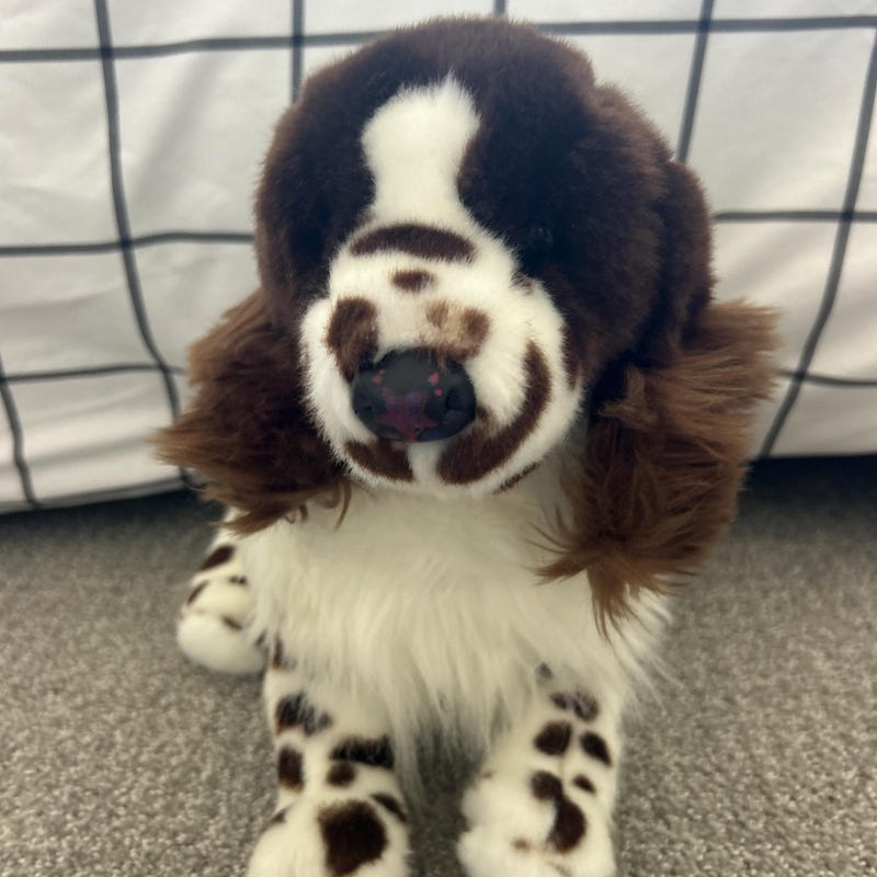 Essa Dog Plush Toys - Etsy