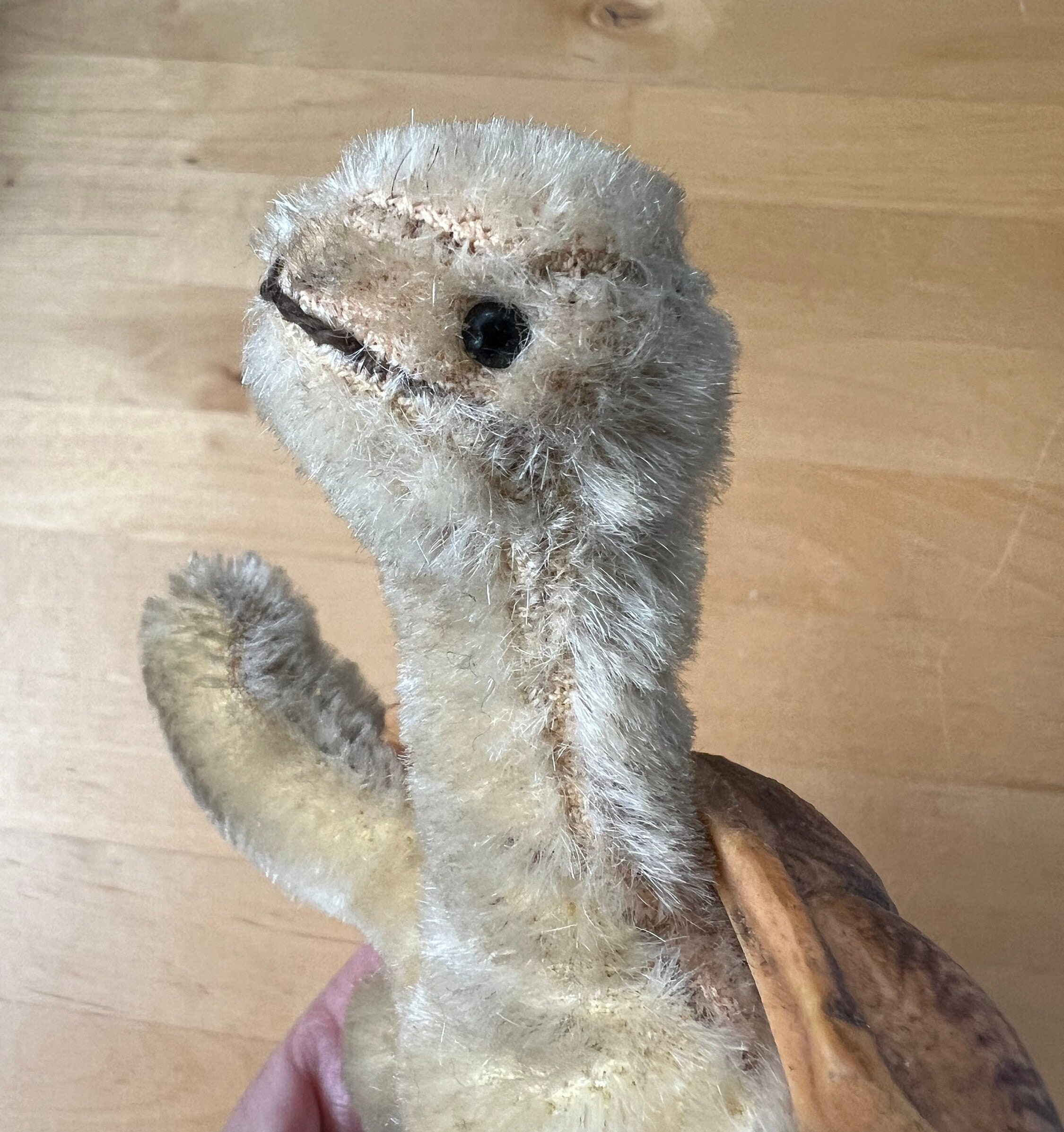 Vintage Steiff Turtle 'slo' With Rubber Shell, No Ids, Adorable. - Etsy