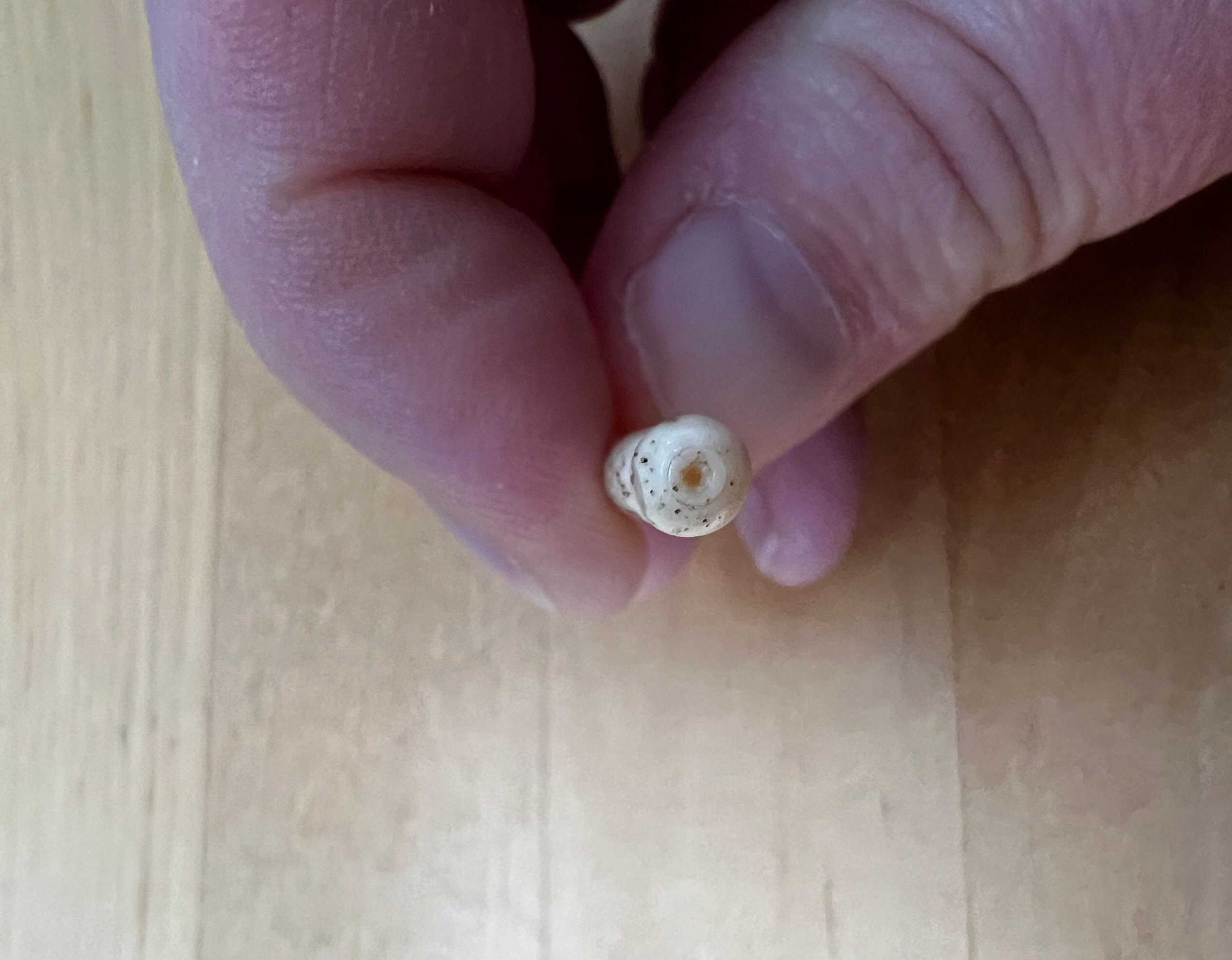 Antique Awl Pair Bone Textile Making Tool Small Bodkin - Etsy