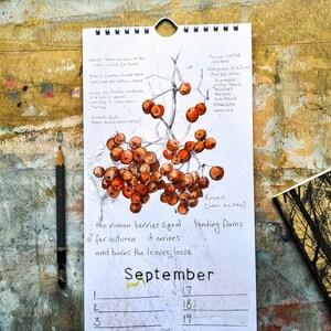 Field Notes Perpetual Calendar for Birthdays, Anniversaries and ...