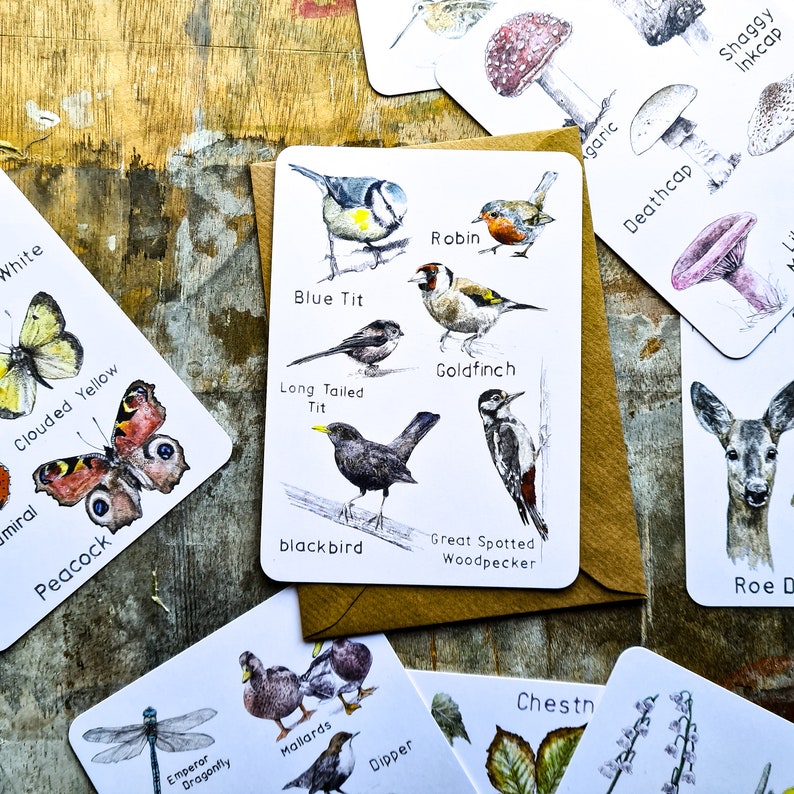 Collections Postcards Set of 9 Nature Postcards Wildlife | Etsy