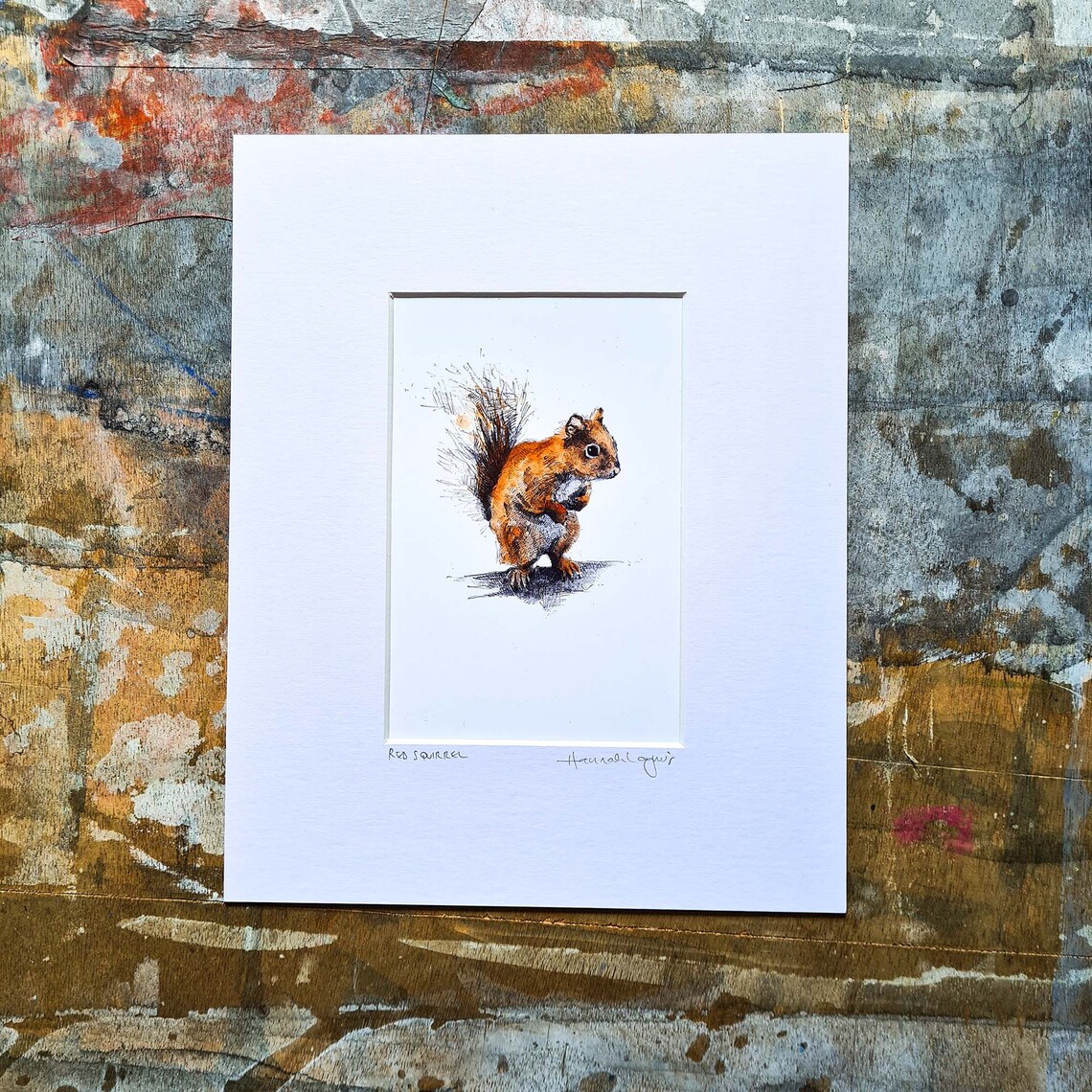 Print Red Squirrel Three Size Options Pencil and | Etsy