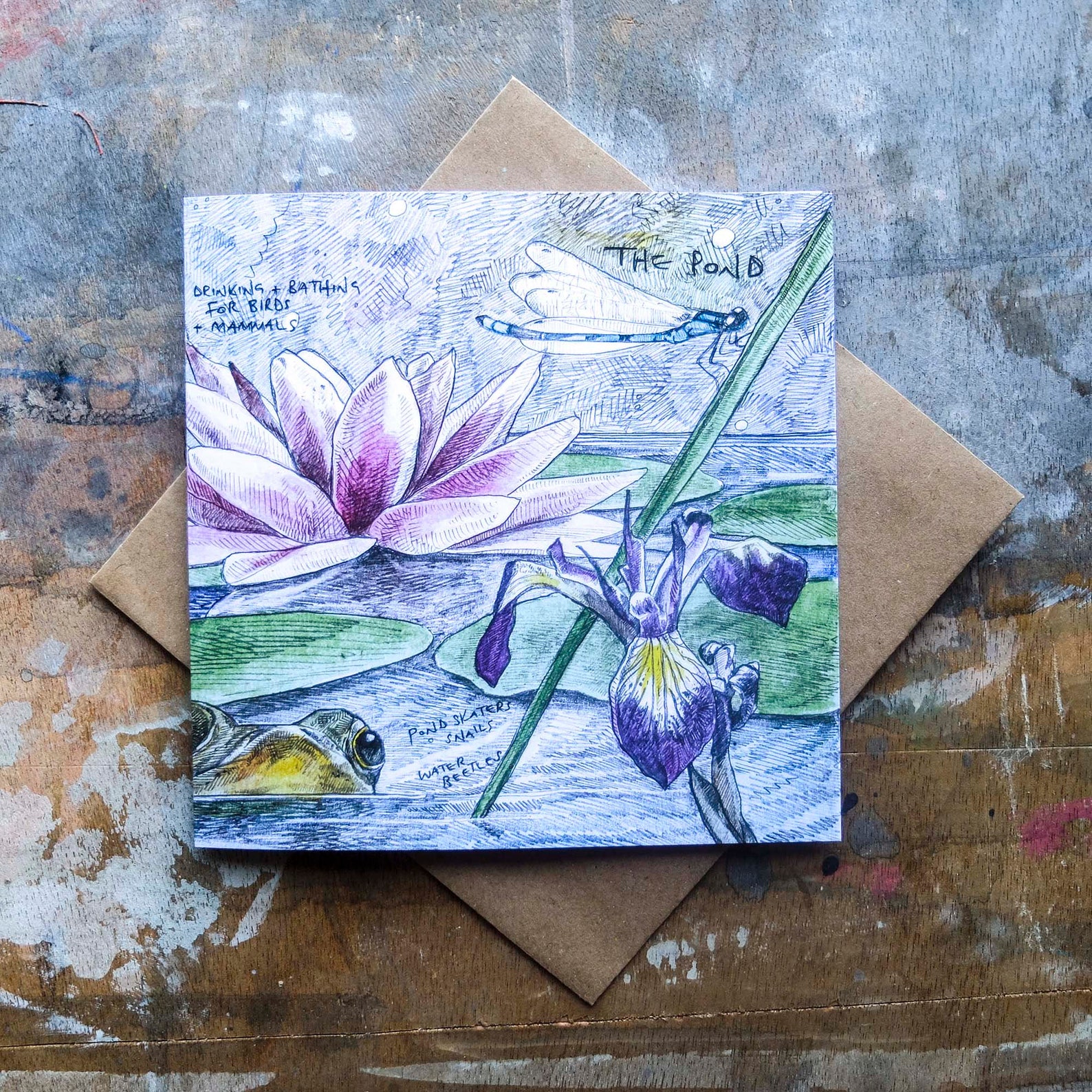 The Pond Card A Garden for Wildlife Wrap-around Card Summer - Etsy